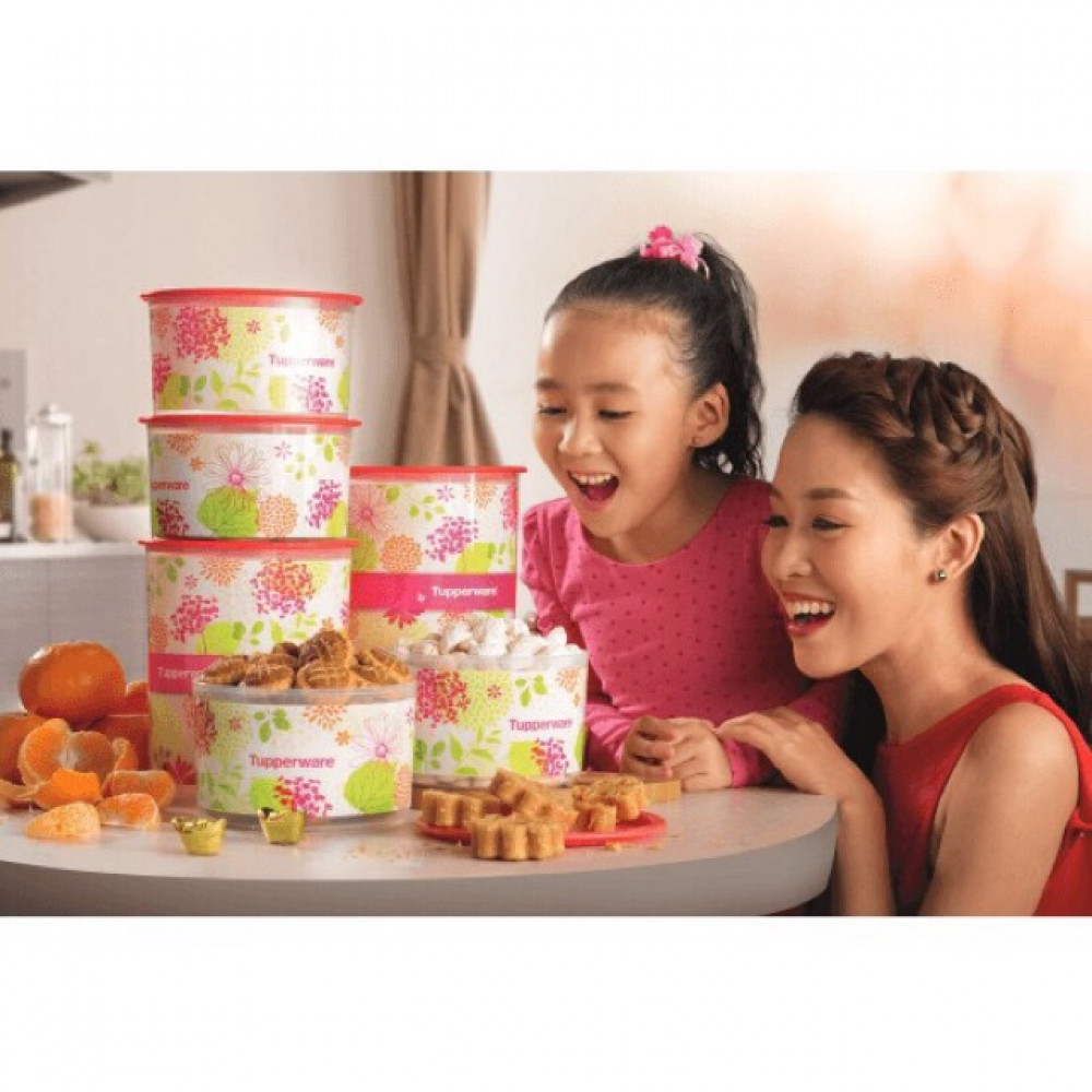 TUPPERWARE SPRING FLORAL ONE TOUCH WITH PRINTS (6 PCS)