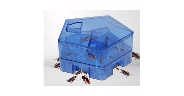 [HC211] 5 Doors Cockroach Insect Bug Box House Trap Killer Catcher Tool