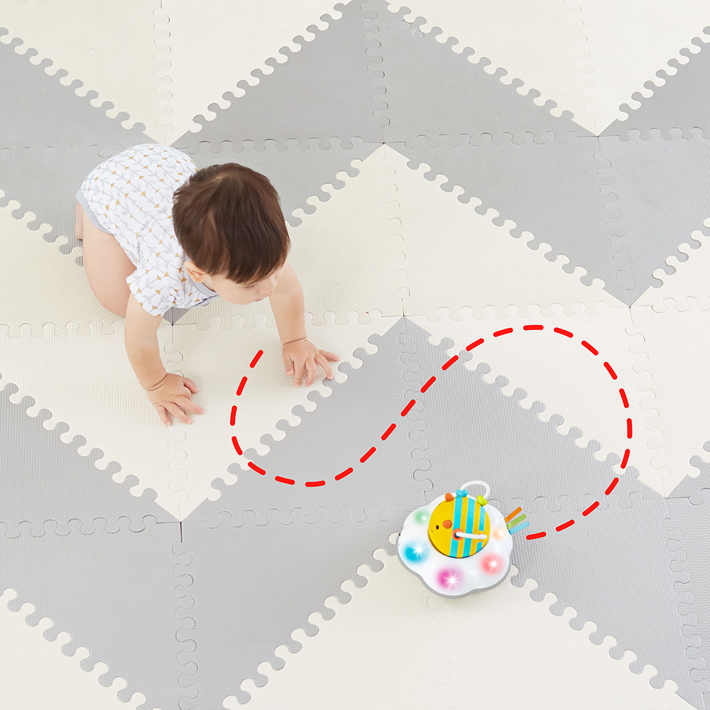 Skip Hop Explore & More Follow Bee Crawl Toy