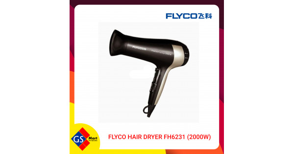 Flyco Hair Dryer FH6231 (2000w)